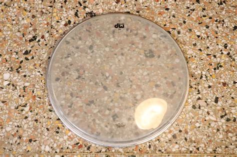 Dw 10 Clear Tom Drum Head Reverb