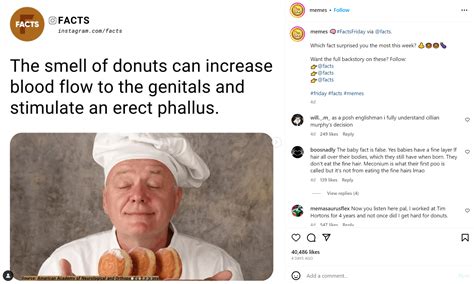 Meme Hashtags To Grow Your Instagram And Tiktok In 2024