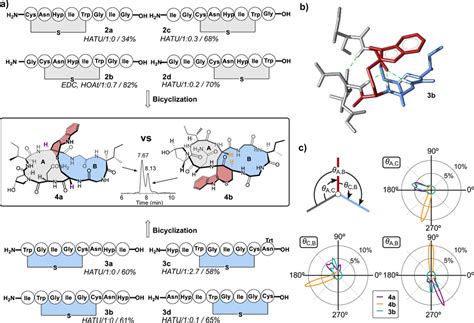 Peptide Precursor Choice Impacts Isomer Yields A Bicyclization
