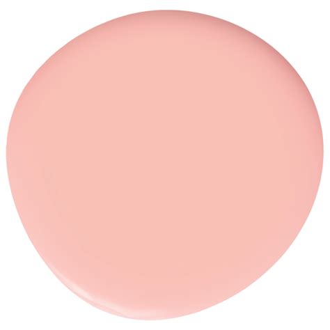 No 080 Minke Bio Sculpture