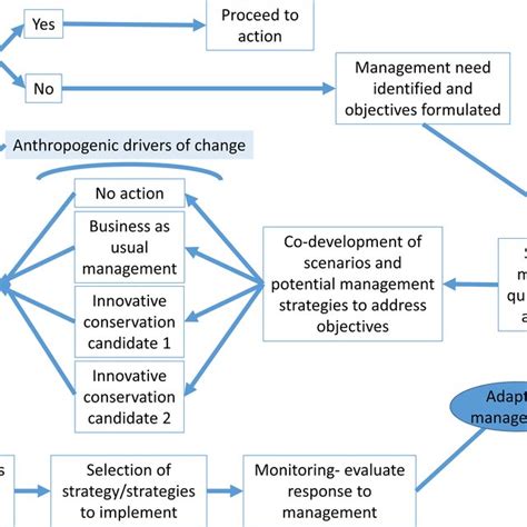 Workflow Describing The Use Of Forecasting To Assess The Intended Download Scientific Diagram