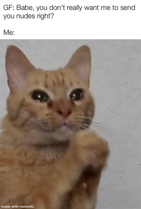 My Friend Took A Picture Of His Cat Praying” So I Used The Forbidden