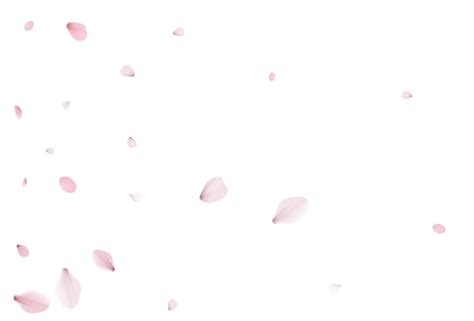 Animated Falling Flowers