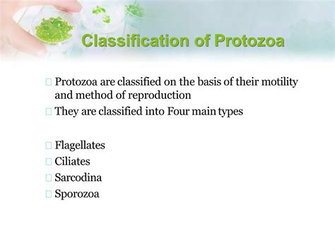 Protozoa Pptx