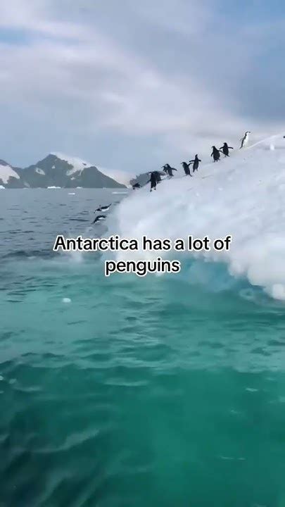 10 Things You Didnt Know About Antarctica 🇦🇶 Top10 Antartica Facts