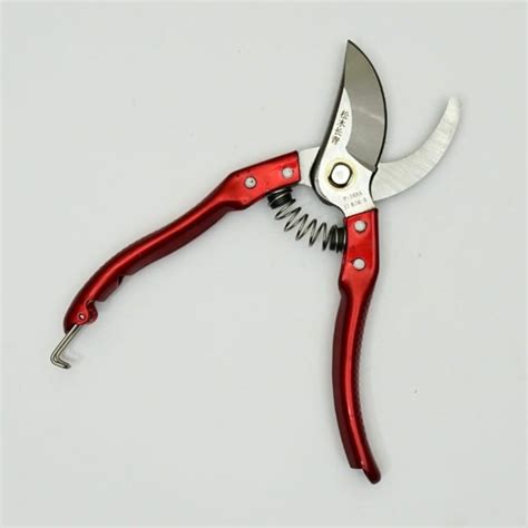 Hand Cutter The Roots Nursery