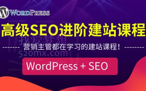 做外贸的victoriawordpress外贸建站seo优化课程 梦想课堂