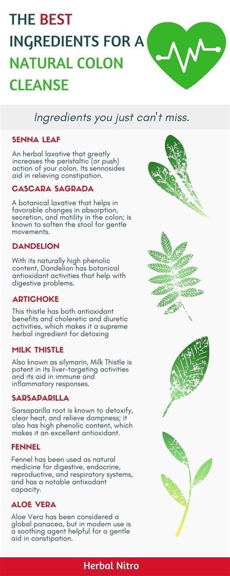 How Colon Cleansing Benefits The Skin Infographic Herbal Nitro®