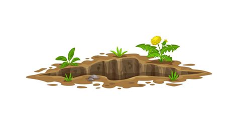 Burrow Vector Art Icons And Graphics For Free Download
