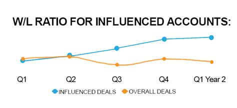 81 And Sunny Digital Media Agency Sarasota Fl