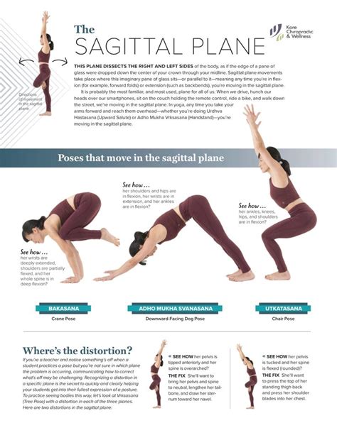 The Sagittal Plane 💪 This Plane Dissects The Right And Left Sides Of