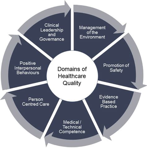 Professional Practice Framework Domains Of Healthcare Quality