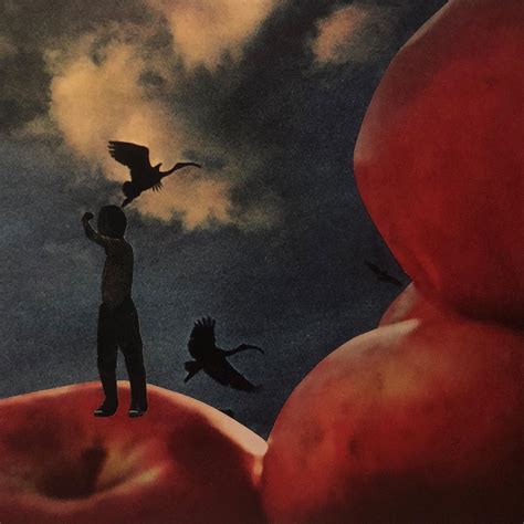 Birdhouse Grimm Doza Iheart