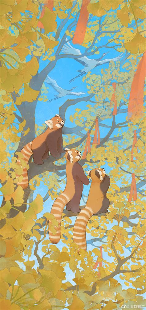 小熊猫、红熊猫、红猫熊、九节狼