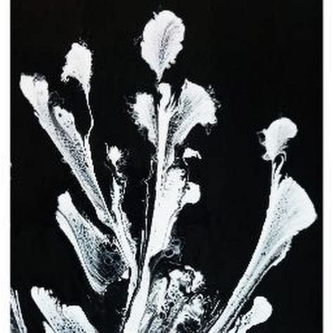 R Devarrewaere Youtube