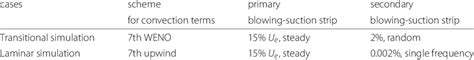 Certain Numerical Settings For The Transitional Simulation And The