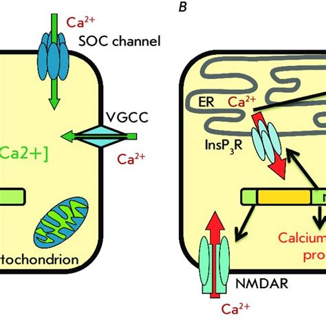 The Domain Structure Of Human Huntingtin Polyq Polyglutamine Tract