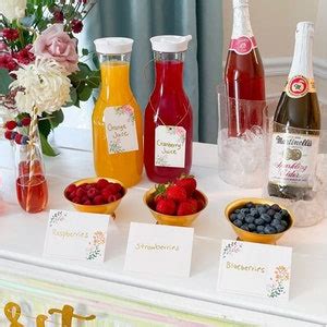 Mimosa Bar Decor Kit Package With Mimosa Bar Signage For Mimosa Serving