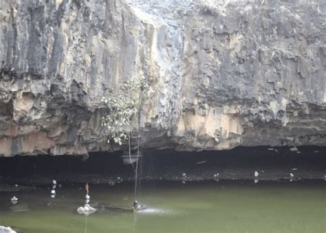 Devnala In Madhya Pradesh Things To Do Sea Water Sports