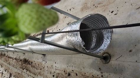 수수네딸기 대포 닥트설치후 딸기 마름현상 Youtube