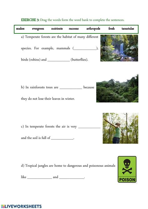 Free Forestry Worksheet Download Free Forestry Worksheet Png Images