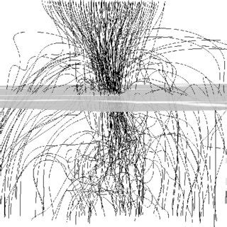 A Side View From MHD Simulations Illustrating Geometry Of The Field