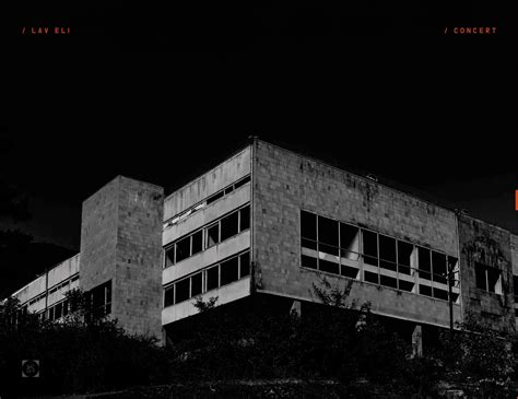 Lav Eli Music Event Visual Identity Behance
