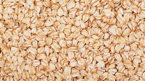 Oatmeal Wallpapers Top Free Oatmeal Backgrounds Wallpaperaccess