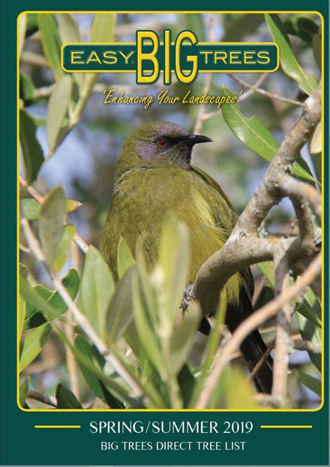 Easy Big Trees New Spring Summer Tree And Shrub Catalogue