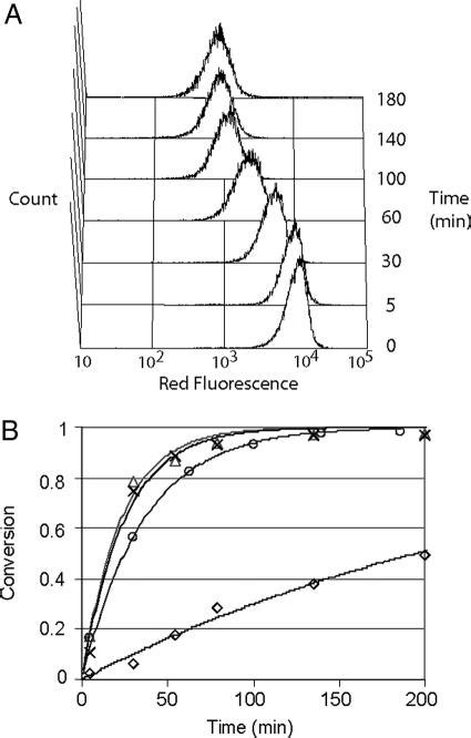 Protease Specificity Determination By Using Cellular Libraries Of