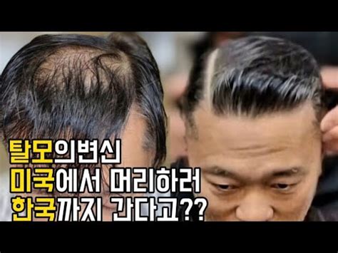 네이버 인플루언서