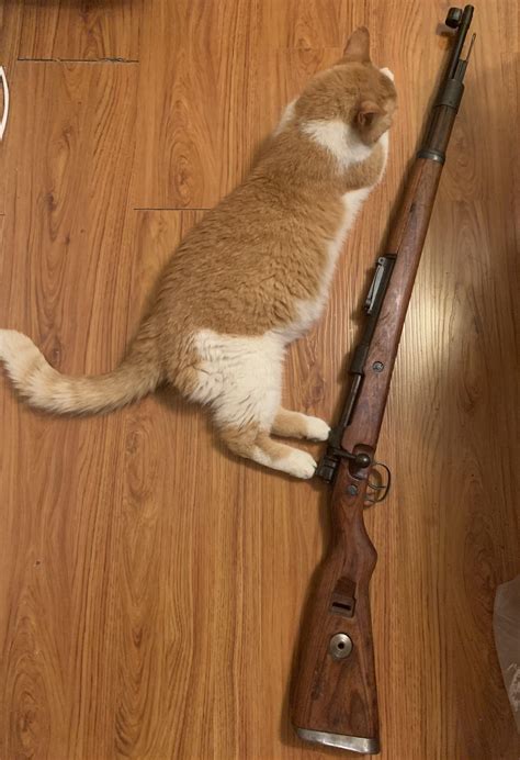 Mowser Kat 98k R Gatcat