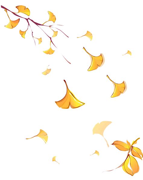 枫叶 搜索结果 花瓣