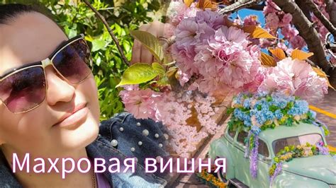Лучшее средство для глаз и души . Мотивация на успех - YouTube