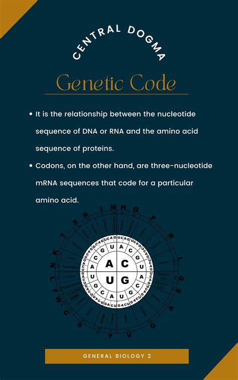Genetic Code Health Assessment G E N E R A L B I O L O G Y 2 It Is The Relationship Between