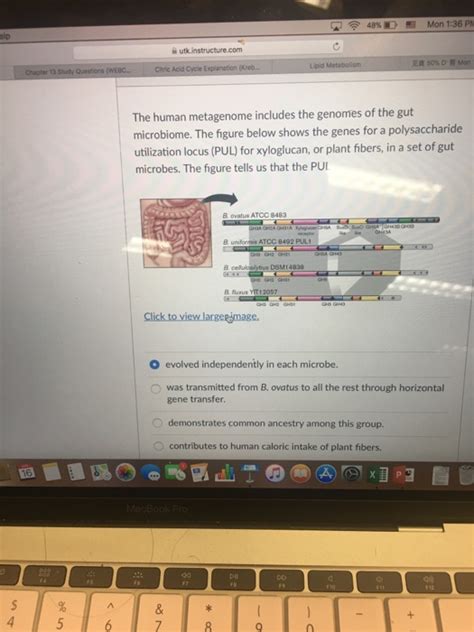 Solved I Am Not Sure If It Is Correct Answer Or Not