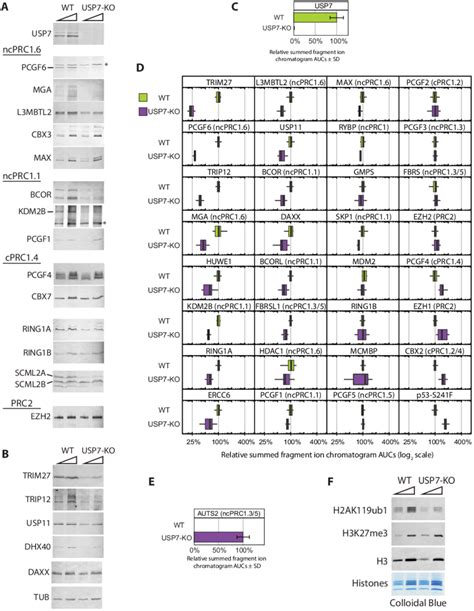 Effect Of Usp7 Ko On Target Protein Abundance And The Polycomb System