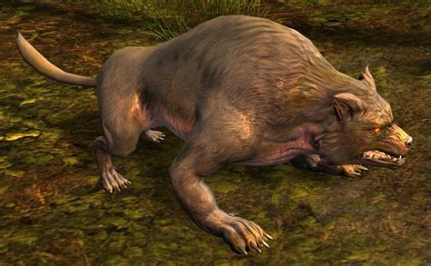 Warg Guild Wars 2 Wiki Gw2w