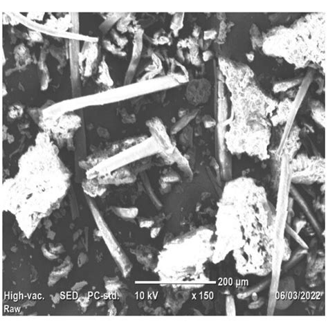 Sem Image Of Cordia Africana Before Activation A And After Activation