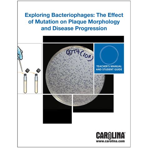 Bacteriophage Virus Plaque Morphology Kits Carolina Biological Supply