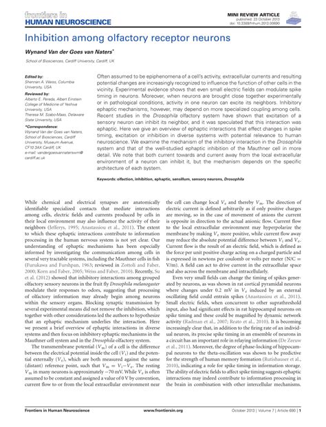Pdf Inhibition Among Olfactory Receptor Neurons