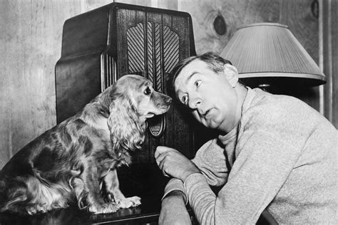 Zenitist I Kritičari U Drhtalici