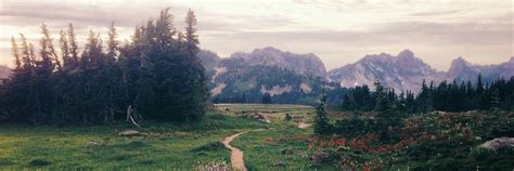 Serene Path Through Grassy Field Nature Aesthetic Twitter Header