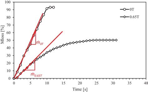 7 Example Of Extrapolation Of Initial Mass Flow Rate Download