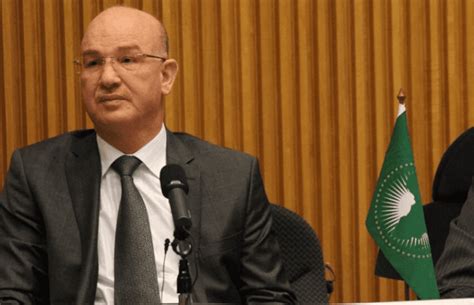 Challenges Of Peace And Security For Africa An Interview With