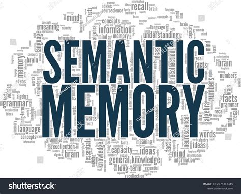Semantic Memory Vector Illustration Word Cloud Stock Vector Royalty Free 2075313445 Shutterstock