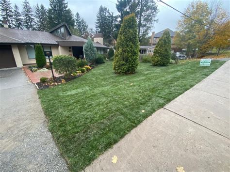 Grass Sod Or Grass Saud My Landscapers