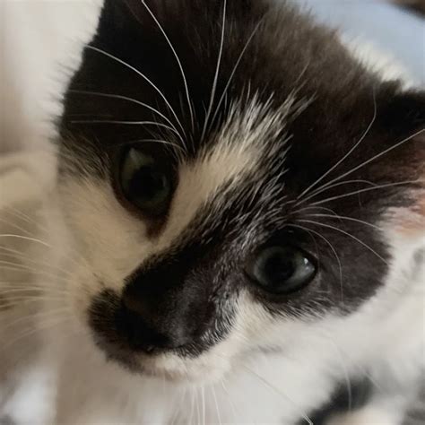 Cheryl Dooley Mcmahon Youtube