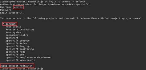 lab 1 1 install and configure cis in nodeport mode