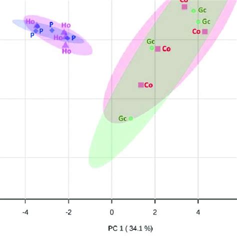 principal component analysis pca of spme gcms data pca score plot